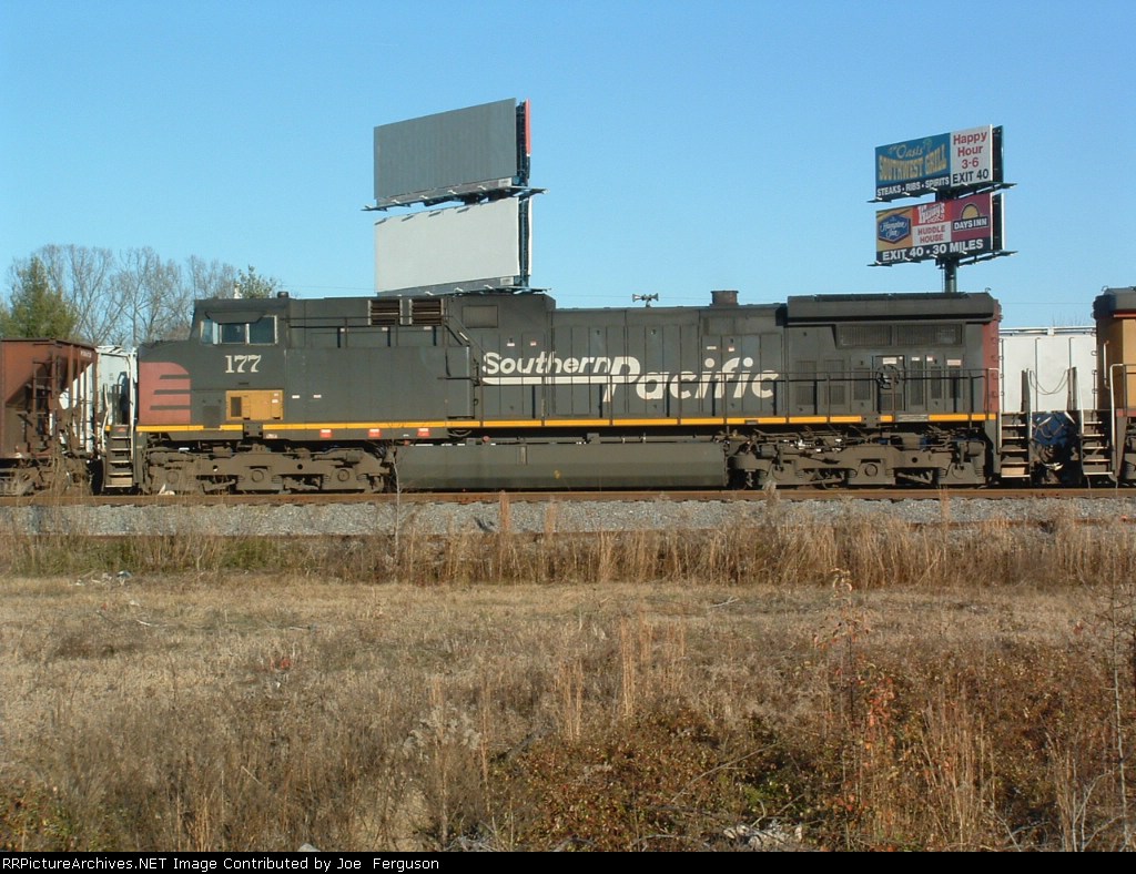 SP 177 with the yellow stripe, first pure SP I've caught this way